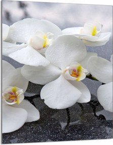 Skleněná Krájecí Deska 40x52 Orchidej Do Kuchyně