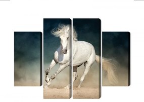 Vícedílný obraz Bílý Kůň Ve Cvalu Nedostatek Nedostatek Plátno Canvas 80x60