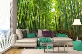 DIMEX | Samolepicí vliesová fototapeta na zeď Bambusový háj MA-5-1601 | 375 x 250 cm | zelená, hnědá
