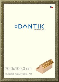 DANTIK rámeček 70x100 | HONEST malá vysoká AU (Plexi Čiré)