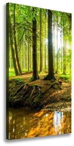 Wallmuralia Vertikální Foto obraz na plátně Pramen v lese 50x100