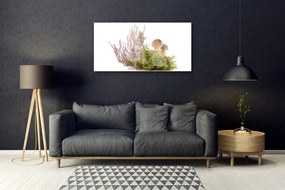 Obraz na skle Houby Rostlina Příroda 125x50 cm