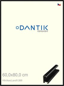 DANTIK rámeček 60x80 | ALU profil 7269 Černá lesklá (Plexi Čiré)