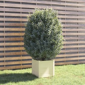 vidaXL Zahradní truhlík 40 x 40 x 40 cm masivní borovice [810540] Barva: Černá