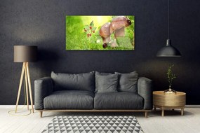 Obraz na skle Houby Divoké Jahody 120x60 cm
