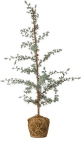 Umělý vánoční stromeček výška 90 cm Vita – Bloomingville