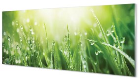 akrylový obraz Tráva slunce kapky 120x60 cm
