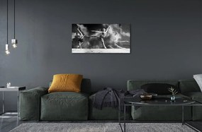Obraz na skle Dámská Baleríny kouř 100x50 cm