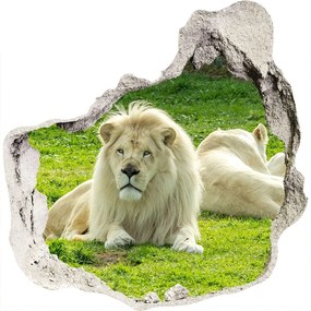 Wallmuralia Samolepící díra nálepka Béžoví lvi 75x75 cm
