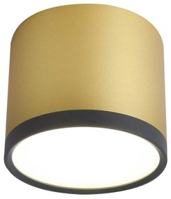 Candellux LED Stropní svítidlo TUBA LED/9W/230V CA0401