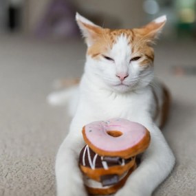 Hračky pro kočku v sadě 3 ks Donuts – P.L.A.Y.