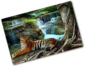Wallmuralia Kuchyňská deska skleněná Tygr vodopád 80x52 cm