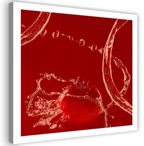 Gario Obraz na plátně Rajče ve vodě Rozměry: 30 x 30 cm