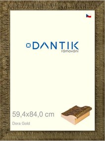 DANTIK rámeček 59,4x84 | Dora Gold (Plexi Čiré)
