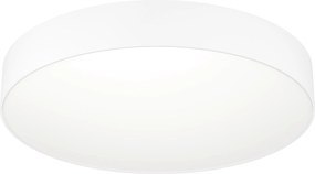 XXXLutz STROPNÍ LED SVÍTIDLO, 49,0/7,0 cm Eglo - Online Only svítidla - 003348324102