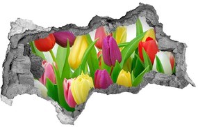 Wallmuralia Samolepící nálepka na zeď Barevné tulipány 95x73 cm