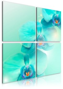 Obraz - Sky-modré orchideje