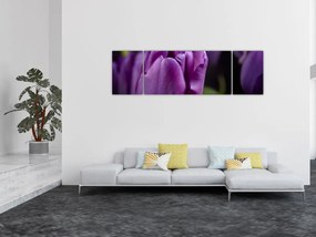 Obraz květů tulipánů (170x50 cm)