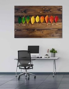 Malvis ® Obraz barevné listy na dřevě Velikost (šířka x výška): 120x80 cm