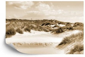 Fototapeta Dune Paradise V Sepia Omyvatelný vlies 300x210