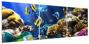 Obraz podmořského světa (150x50 cm)