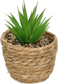 Dekorace Aloe 20 cm