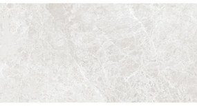 Mexen Lizard Silver lesklý rektifikovaný gres G1, dlaždice podlahová-stěnová 120 x 60 cm, lesk - TL109-120-060-03