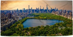 Sablio Ručník New York Central Park - 70x140 cm