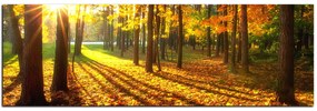 Obraz na plátně - Podzimní les - panoráma 5176A (105x35 cm)