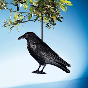 Die moderne Hausfrau Plašič ptáků Havran, 40 cm