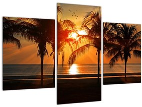 Obraz palmy v západu slunce (90x60 cm), 40 dalších rozměrů