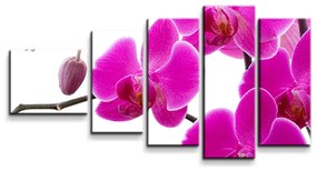 Obraz - 5-dílný SABLIO - Fialové orchideje 100x60 cm