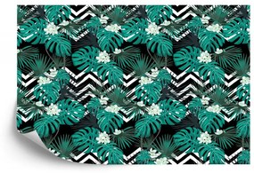 Fototapeta Monstera Odchází Hladký vinyl 104x70.5