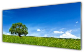 akrylový obraz Tráva Strom Příroda 125x50 cm