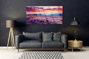 akrylový obraz Louka Hory Květiny Příroda 120x60 cm