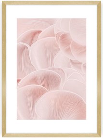 Plakát Pastel Pink I