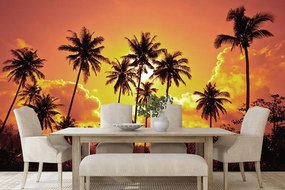 Samolepící tapeta kokosové palmy na pláži - 225x150 cm