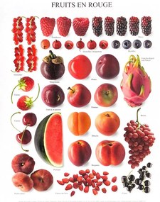 Postershop Obrazová reprodukce : Red Fruit - 24x30cm
