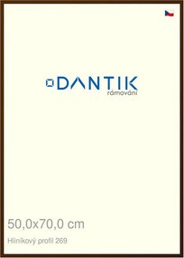 DANTIK rámeček 50x70 | ALU profil 7269 Hnědá umbra broušená (Plexi Čiré)