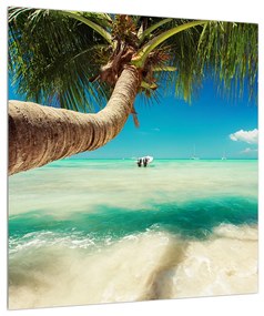 Obraz čistého moře s palmou (40x40 cm)
