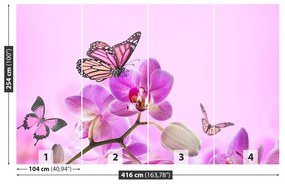 Fototapeta Orchid Motýl 104x70