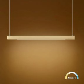 LED Lustr na lanku LINEA LED/36W/230V 3000/4000/5700K CRI 90 zlatá