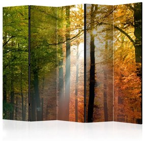 Paraván Forest Colours Dekorhome 225x172 cm (5-dílný)