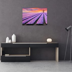 Skleněný obraz - květinová farma (70x50 cm)