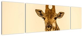 Obraz žirafy (170x50 cm)
