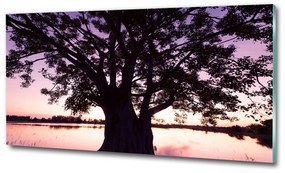 Wallmuralia Foto-obraz fotografie na skle Stromy a jezero 100x50