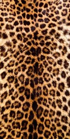 Dvoudílná vliesová fototapeta Leopardí kůže, rozměr 150x250cm, MS-2-0184