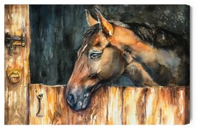 Obraz Kůň Na Dvoře Nedostatek Nedostatek Plátno Canvas 100x70
