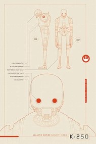 Plakát - Star Wars Rogue One (K-2S0 Blueprints)