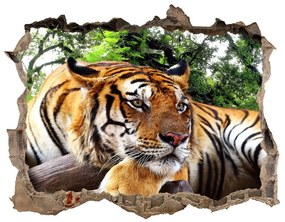 Wallmuralia Díra 3D fototapeta na stěnu Tygr na skále 95x64 cm